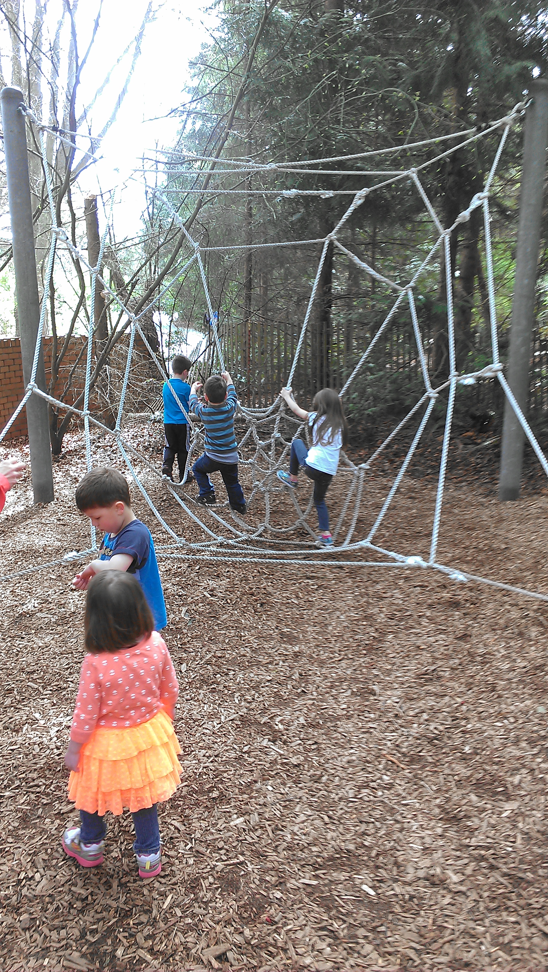 Fun Nature Play At Seattle's Woodland Park Zoo - Learning Landscapes Design