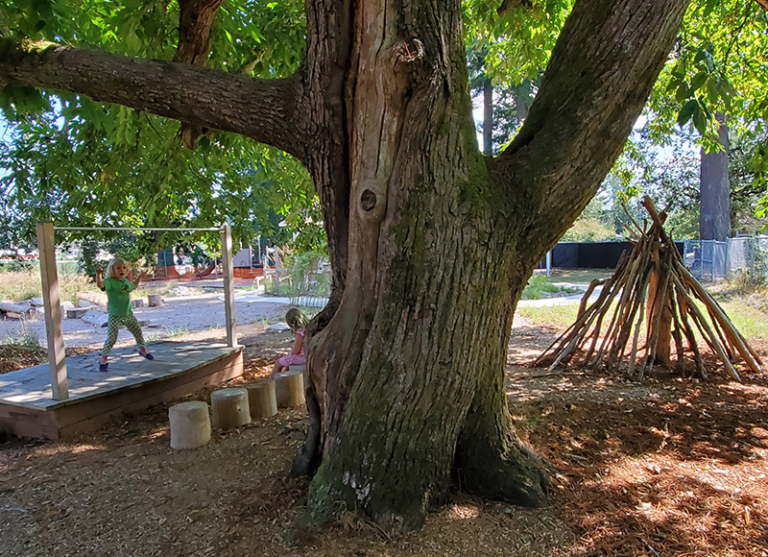 Elma Head Start Nature Playground - Learning Landscapes Design