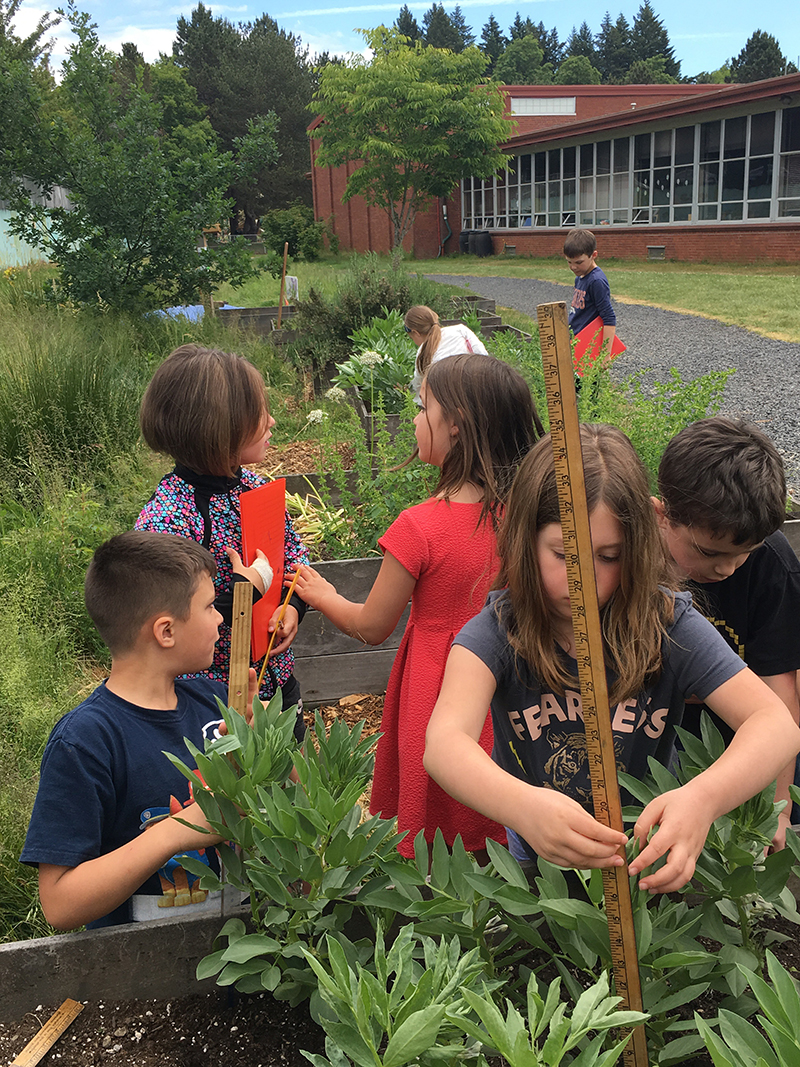 Top 10 Covid Outdoor Classrooms - Learning Landscapes Design