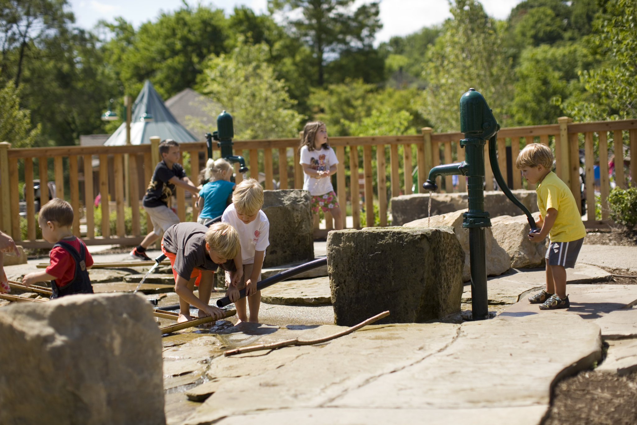Revolutionize Your Preschool Playground: The Natural Playscape Solution ...
